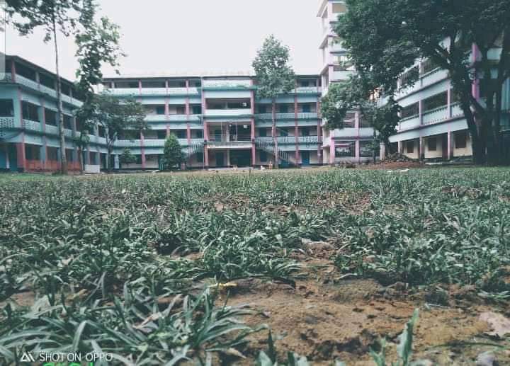 About Us |MSSHSS Scout